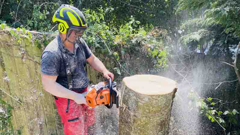 East Devon Tree Surgery Specialists - 07485 411618.